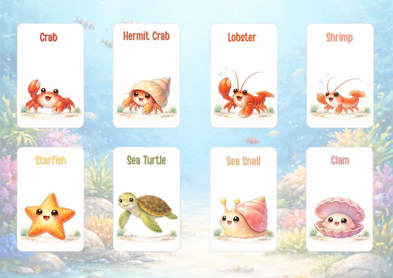 My Sea Animal Friends – Ocean Animals Educational Cards (printable PDF ...