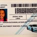Custom Kids ID Card – Personalized Driver’s License for Pretend Play ...