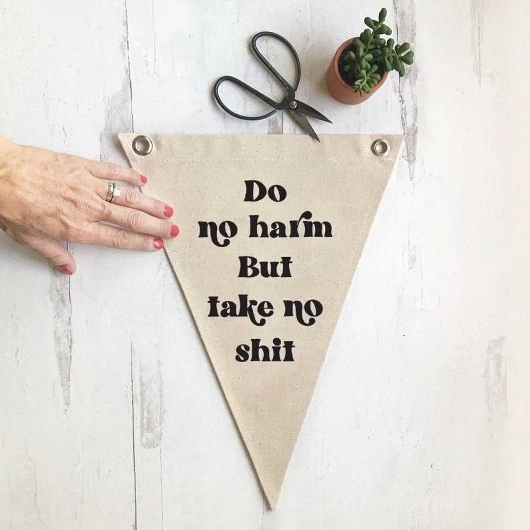 Office Decor Sign, Pennant Flag Wall Decor, Do No Harm but Take No Shit ...