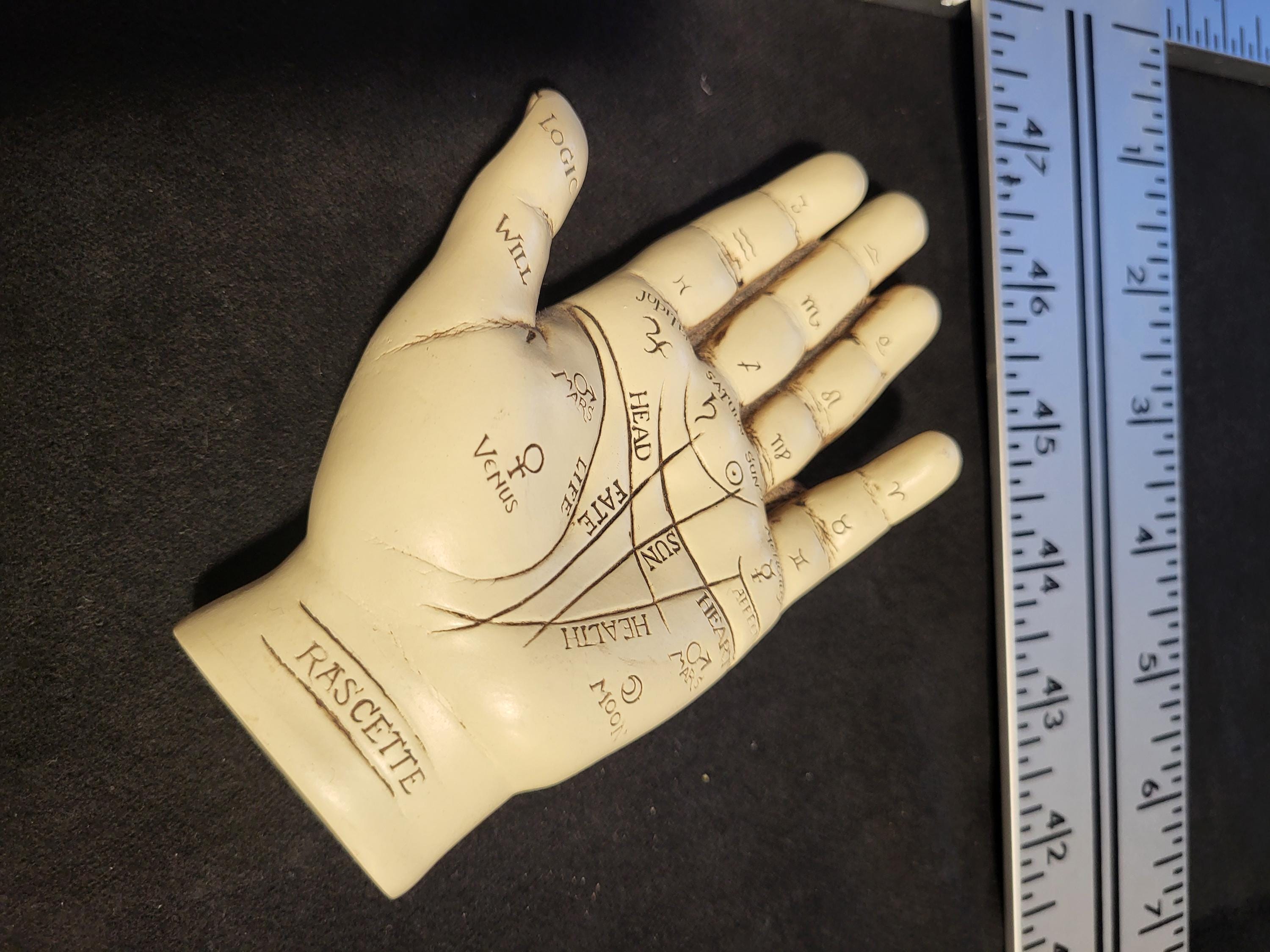 Vintage Ceramic Palmistry Hand Statue With Instructional Booklet - Etsy