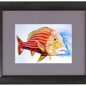 The Red Fish -print From Original Watercolor Painting, Holiday Present ...