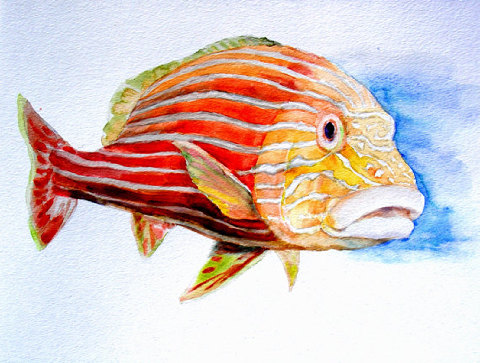 The Red Fish -print From Original Watercolor Painting, Holiday Present ...