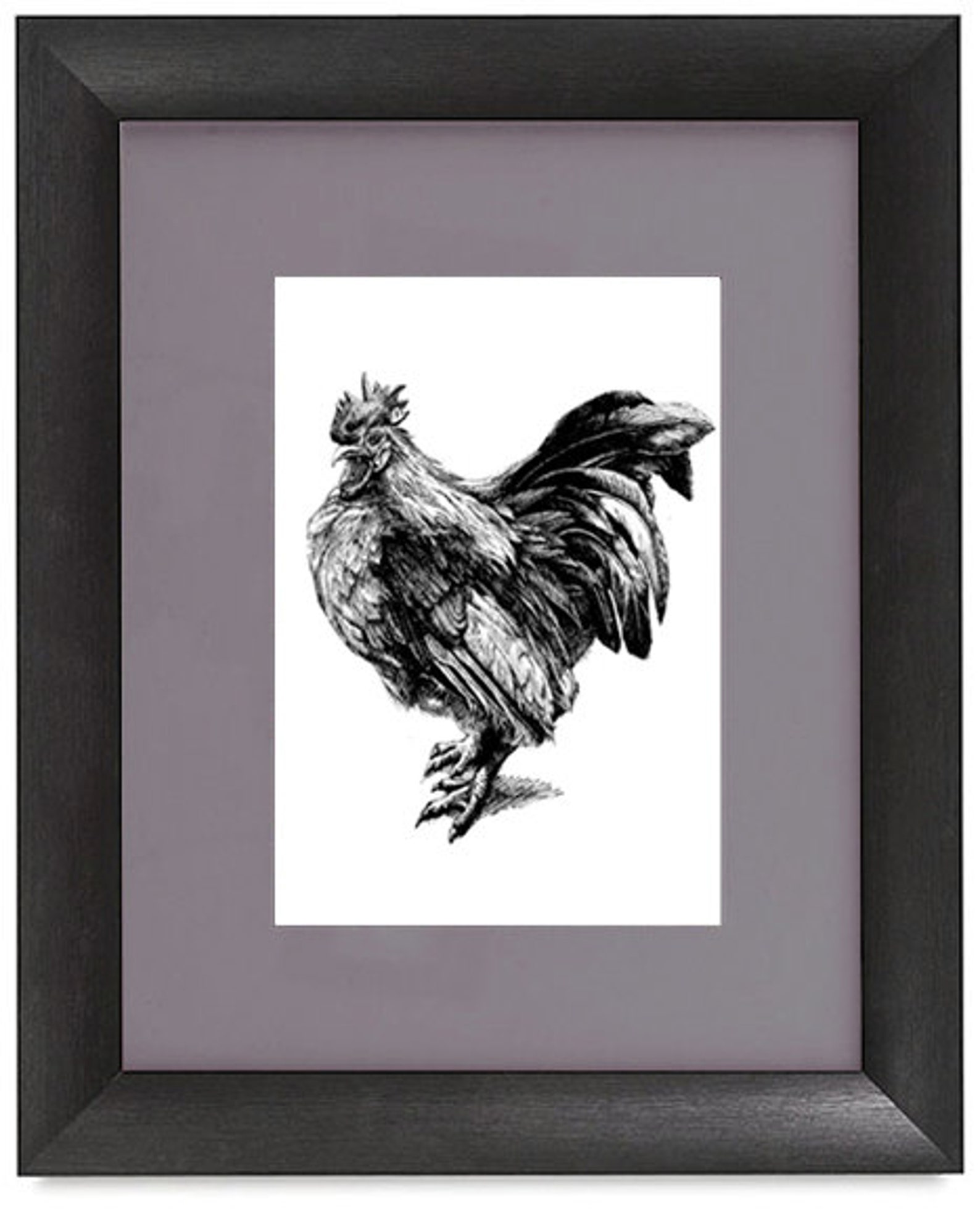 Rooster 11x8.5 Pen Drawing Print From Original, Holiday Present ...