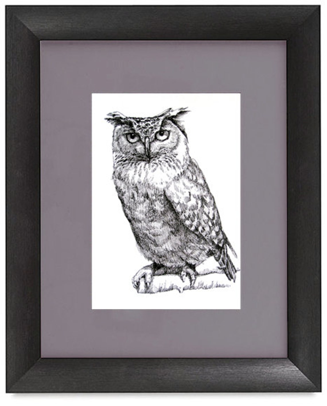 An Owl 11x8.5 Pen Drawing Print From Original, Holiday Present ...