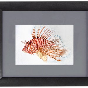 A Lion Fish -print From Original Watercolor Painting, Holiday Present ...