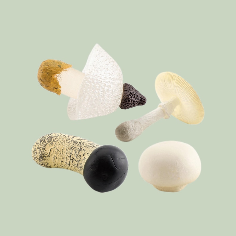 Realistic Mushroom Models for Home Decor and Craft Projects - Etsy