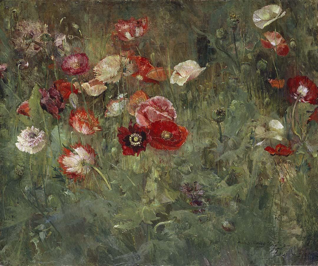 A Bed of Poppies | Vintage Fine Art Print | Multiple Sizes | American ...
