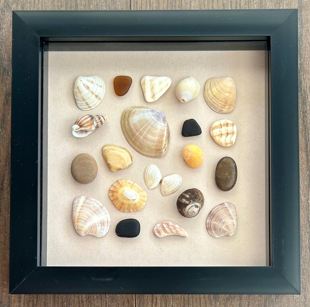 Handmade Cornish Seashell Art: Coastal Wall Decor in Black Frame - Etsy