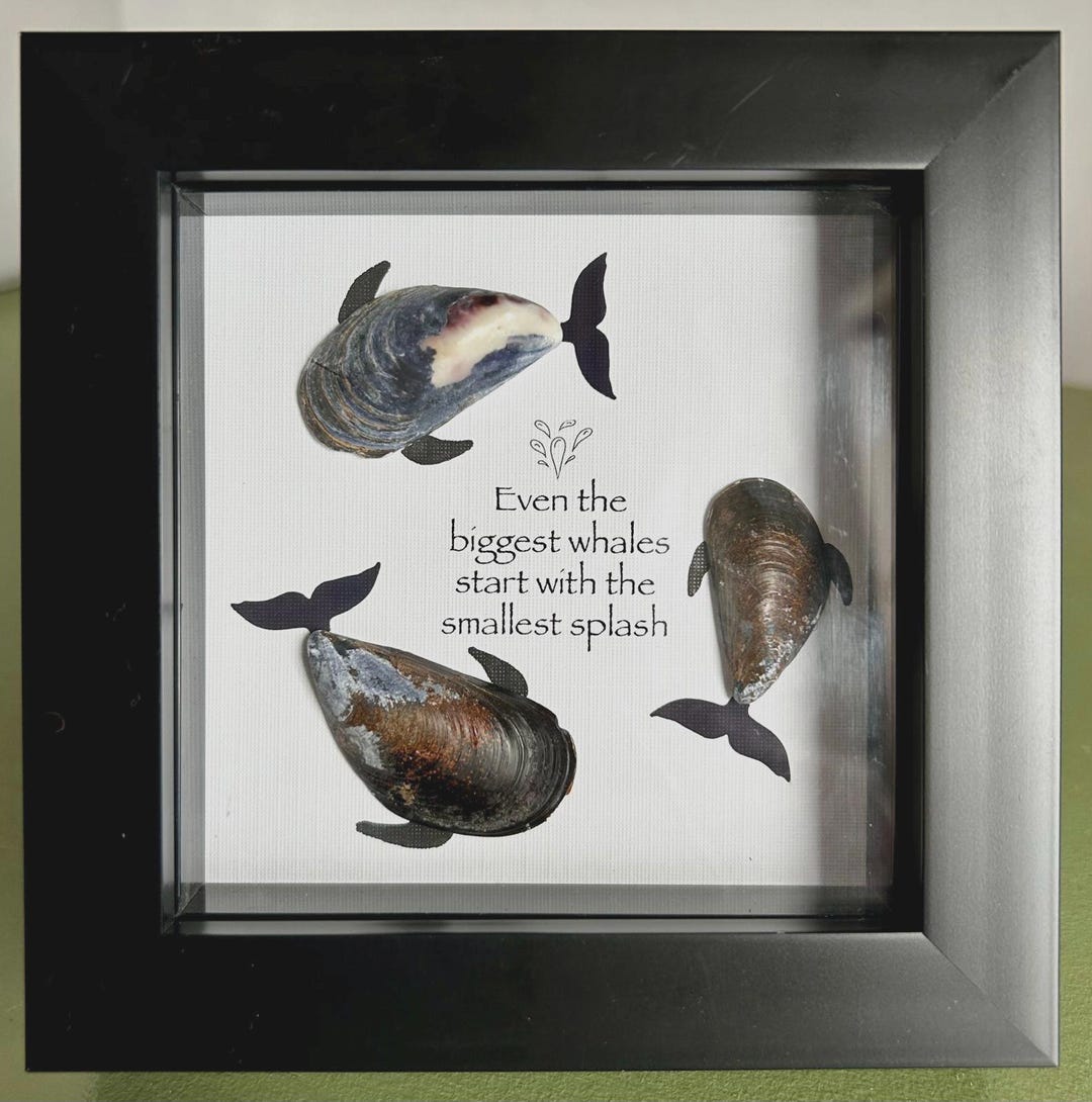 Mussel Shell Whale Art: Coastal Nursery Decor, 'smallest Splash' Quote ...