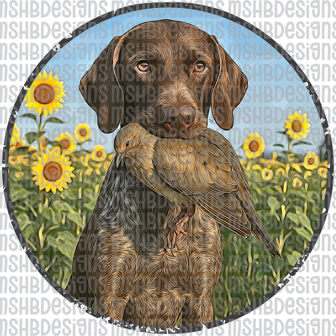 German Shorthaired Pointer Dove PNG | Dove Season Hunting Dog Digital ...