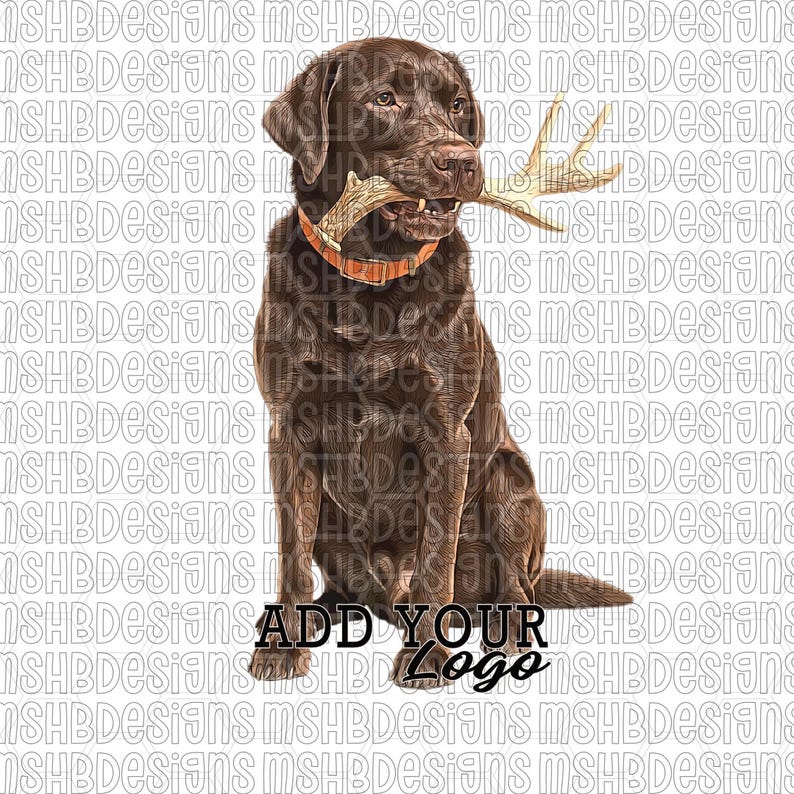 Chocolate Lab With Deer Antler | Hunting Dog PNG | Sublimation & DTF ...