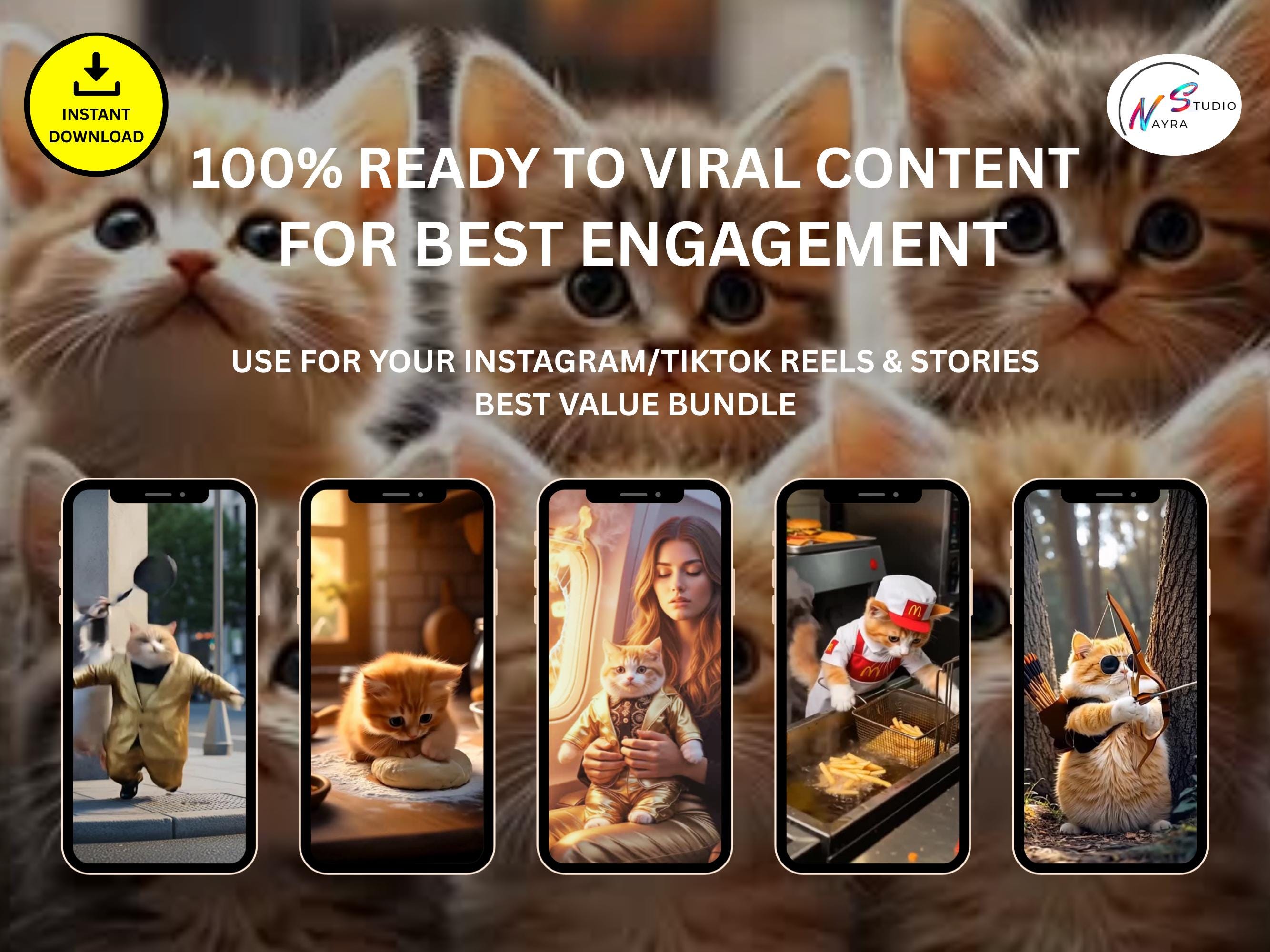 Viral Ai Cat Reels & Stories Bundle for Instagram Youtube, Tiktok : 900 ...