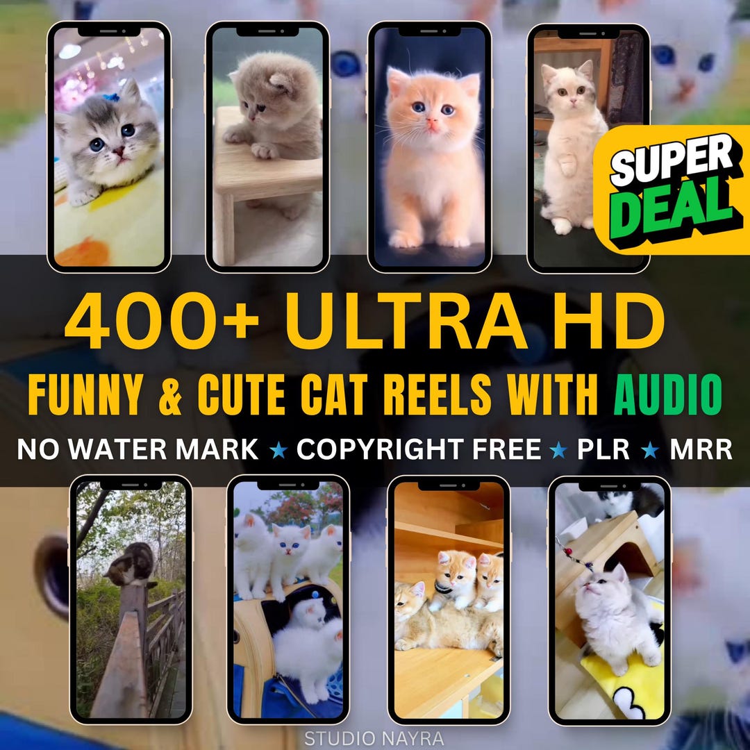 400+ Ultra HD 4K Cute and Funny Cats Reel Video With Audio,animal Clips ...