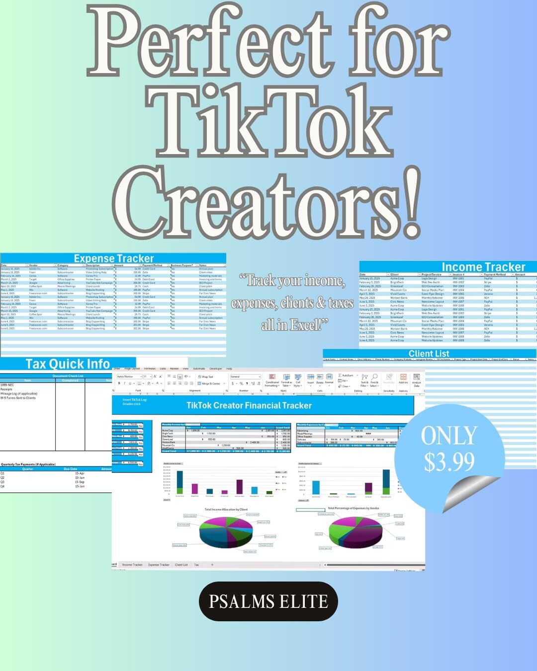 Influencer Income Tracker – Excel - Etsy