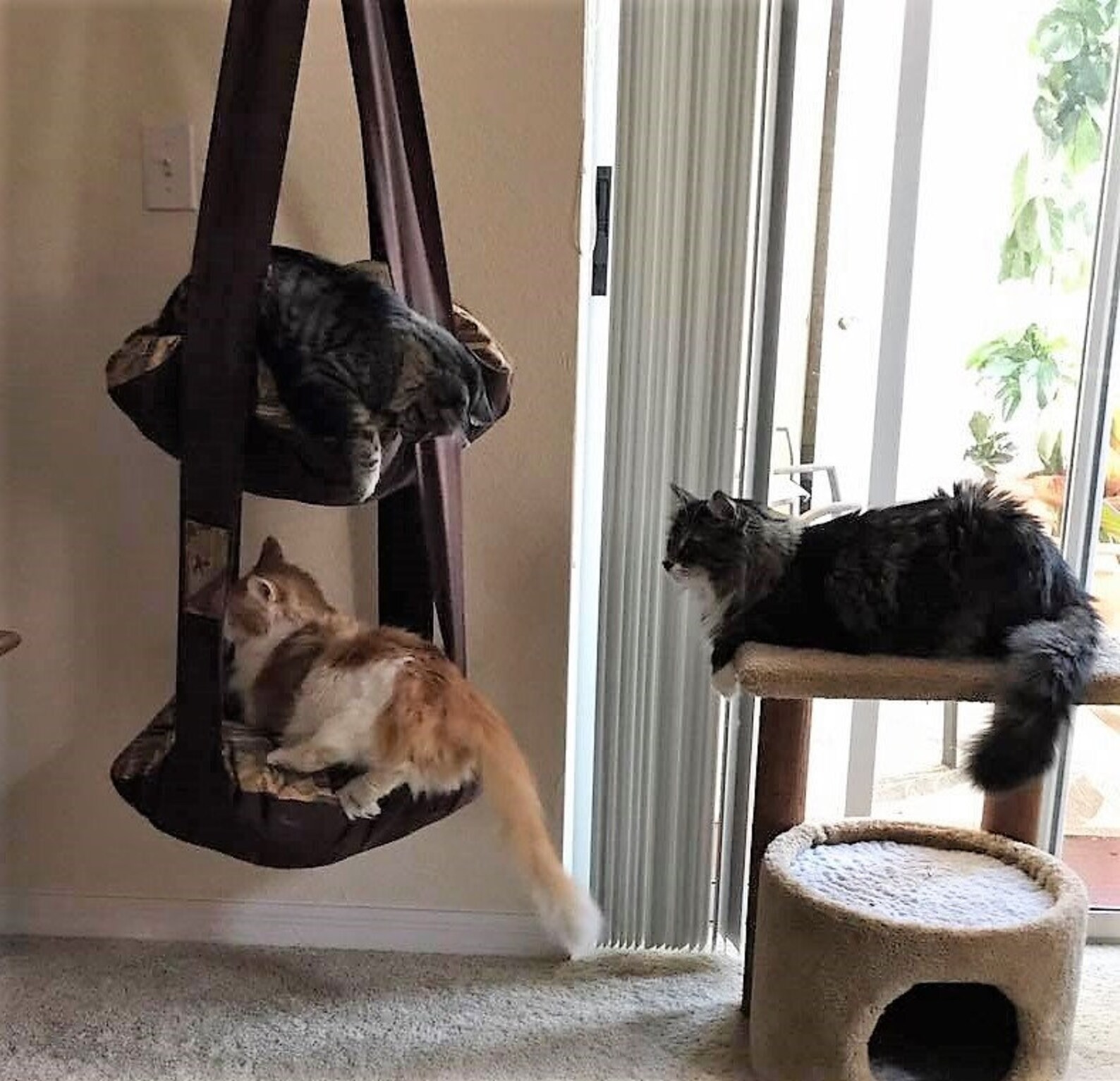 Cat Bed Purple & Olive Green Stripe Double Hanging Cat Bed | Etsy