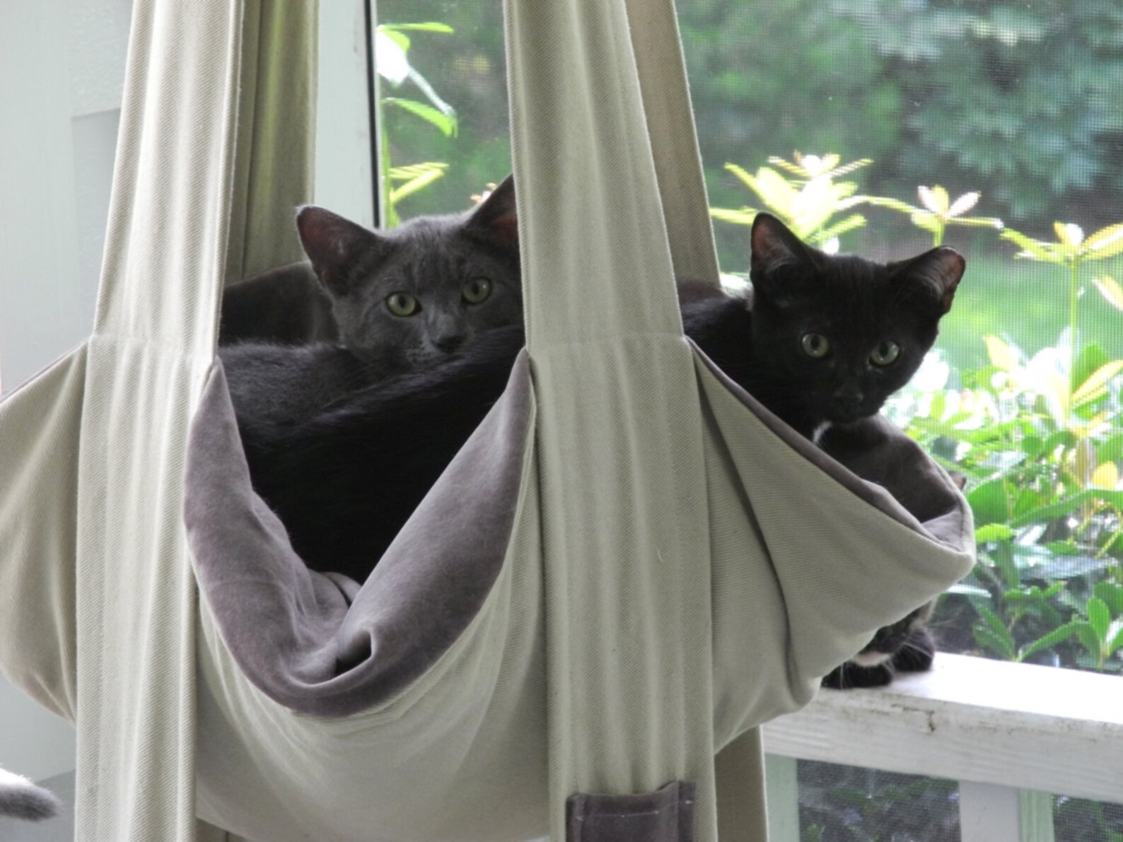 Cat Bed Lovely Lavender Single Kitty Cloud Hanging Cat Bed | Etsy