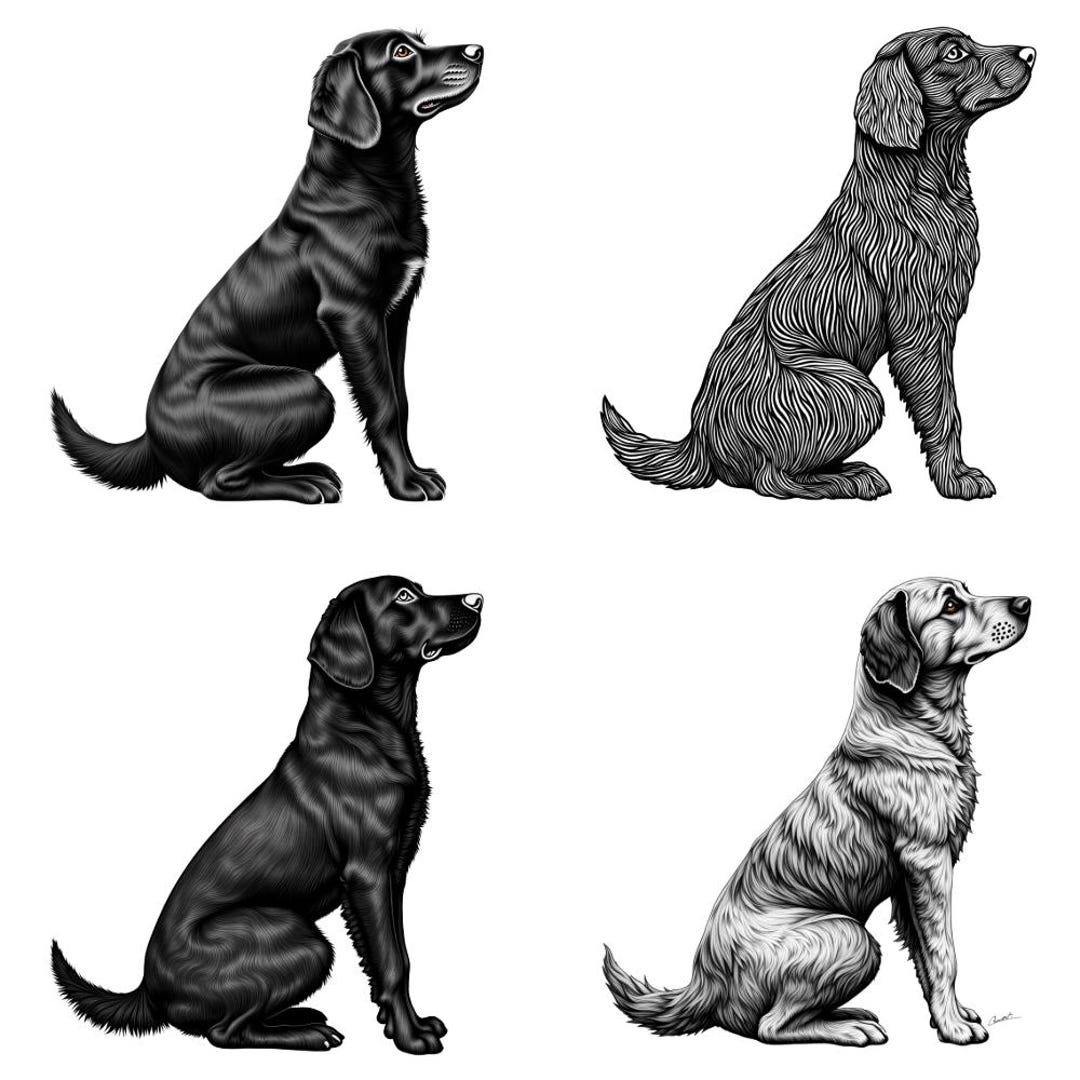 Labrador & Variations Profile Side Black and White Clip Art, Side View ...