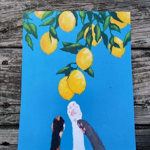 Creation of Lemon - Original Cat Paw Art Print - Etsy