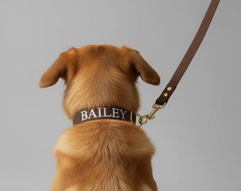 Personalized Embroidered Dog Collar, Personalized Cotton Dog Collar ...