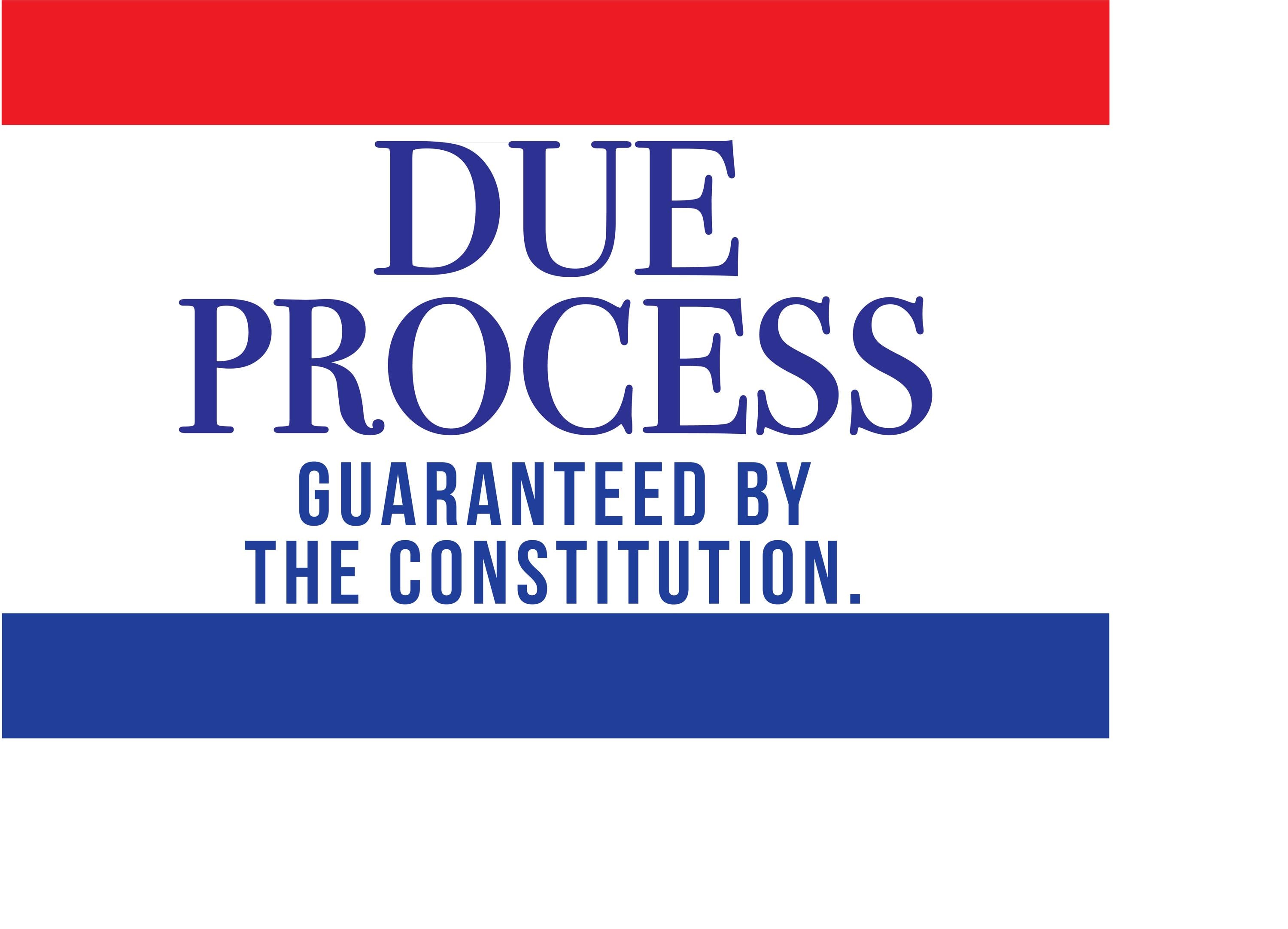 Due Process Resist Poster - Etsy