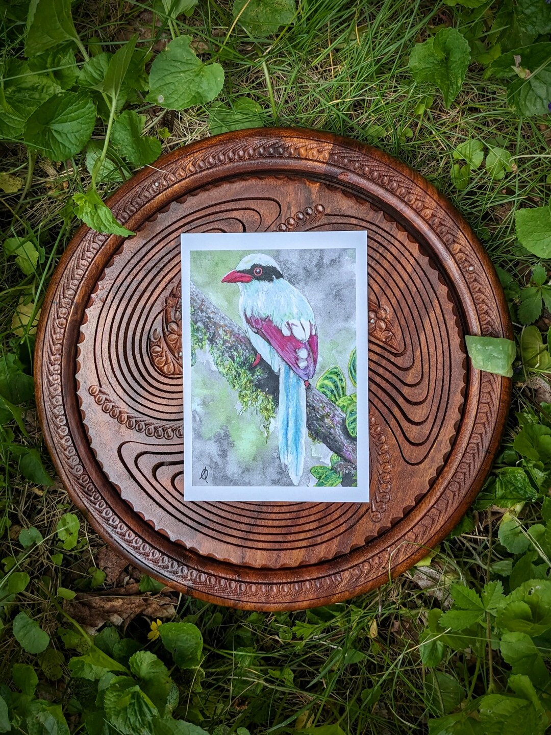 Common Green Magpie Card (blank Interior, Envelope Included) - Etsy