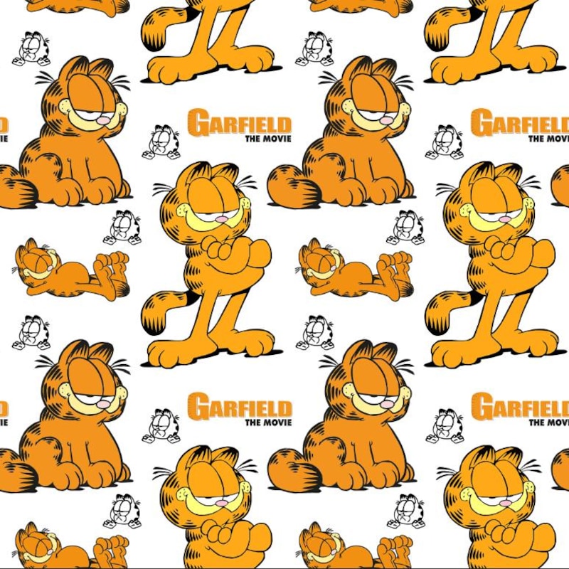 Garfield Party - Etsy