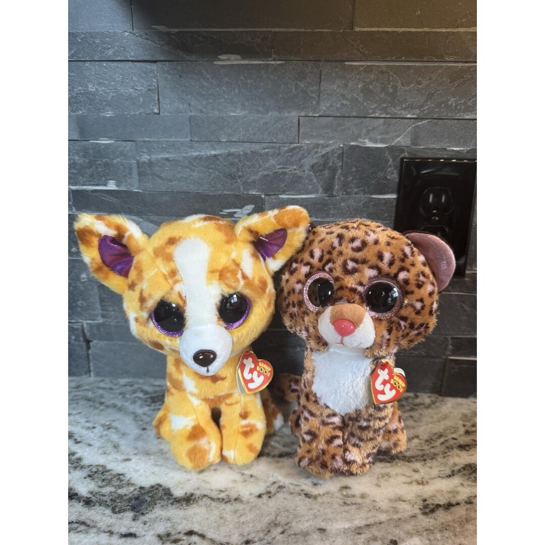 6" Patches & Pablo Ty Beanie Boo: With TAG- Rare and Hard to Find - Etsy