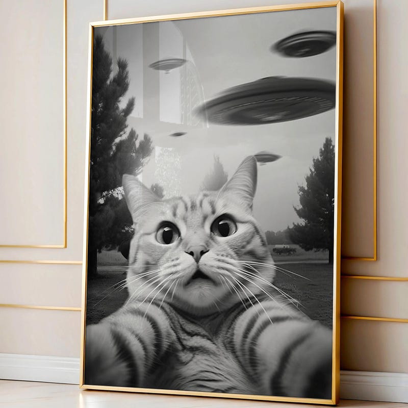 Ufo Poster - Etsy