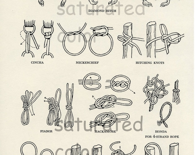 Vintage Cowboy Roper's Knots DIGITAL IMAGE DOWNLOAD - Etsy