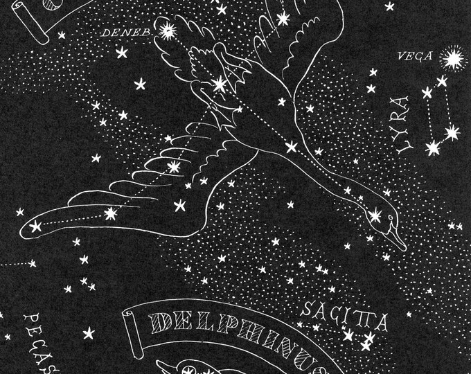 1948 Cygnus the Swan Delphinus the Dolphin Night Sky Star Chart Map ...