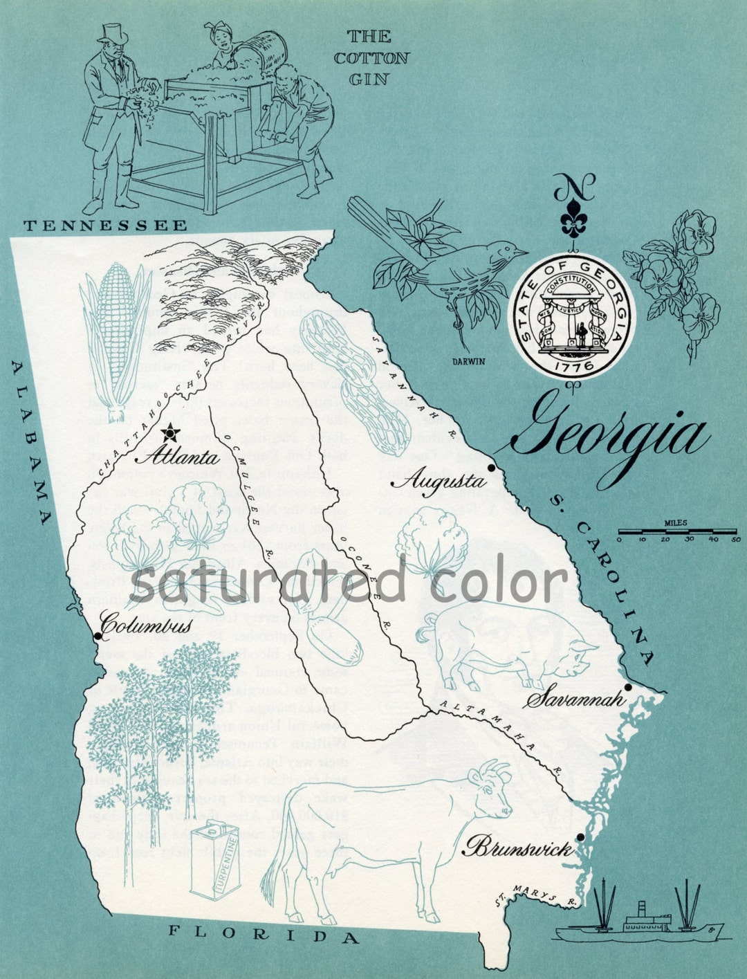 Georgia Map Vintage - High Res DIGITAL IMAGE 1960s Picture Map - Fun ...