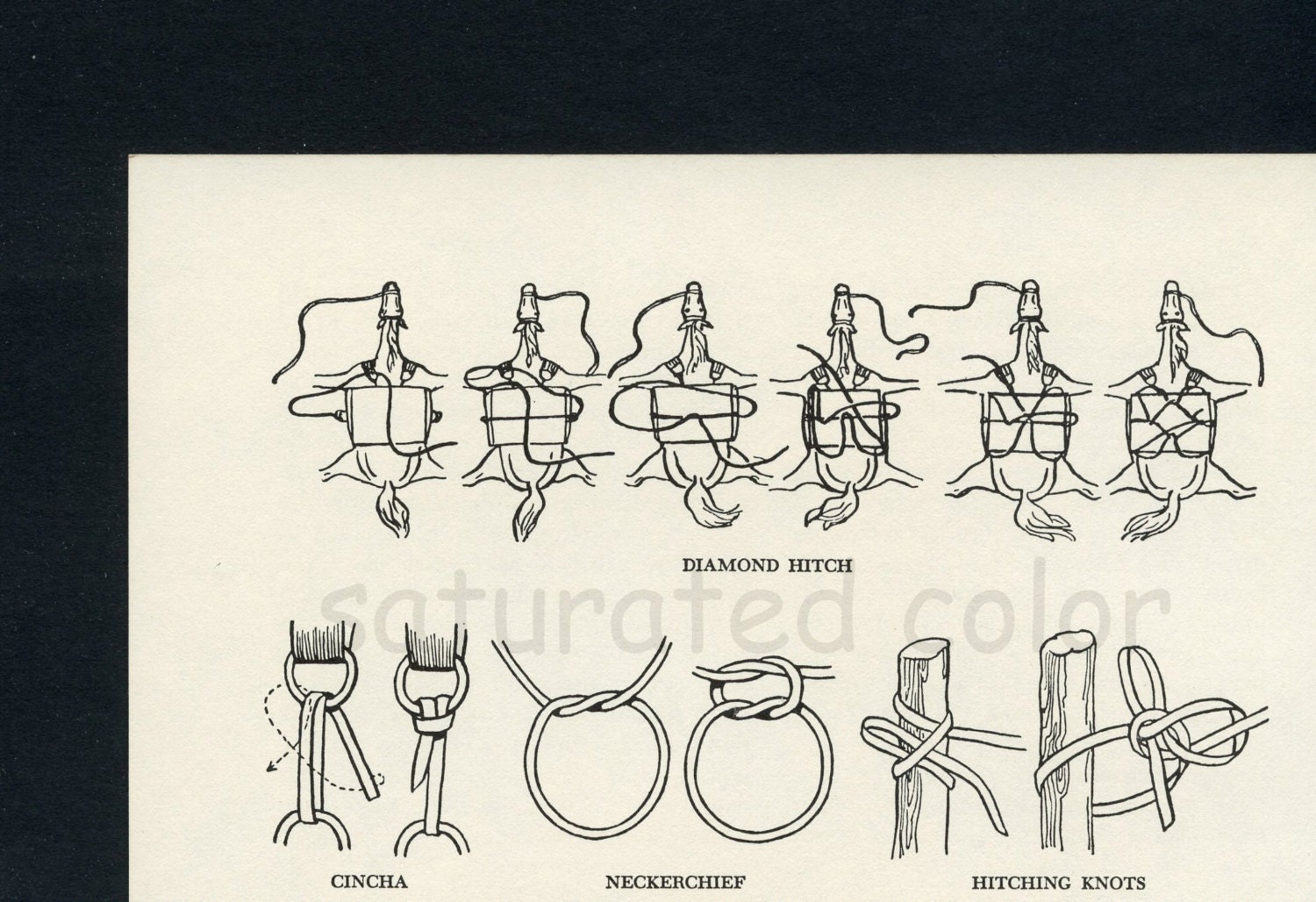 Vintage Cowboy Roper's Knots - DIGITAL IMAGE DOWNLOAD - 1950s Original ...