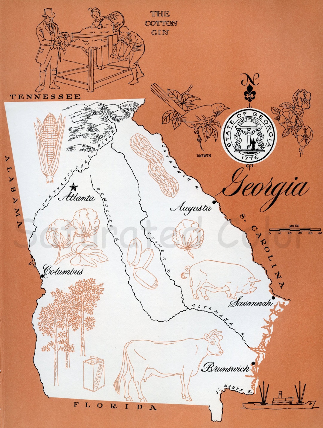 Georgia Map Vintage - High Res DIGITAL IMAGE 1960s Picture Map - Fun ...