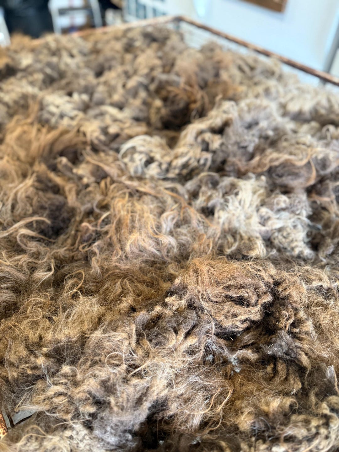 Icelandic Fall 2025 Fleece - “isa” - Etsy