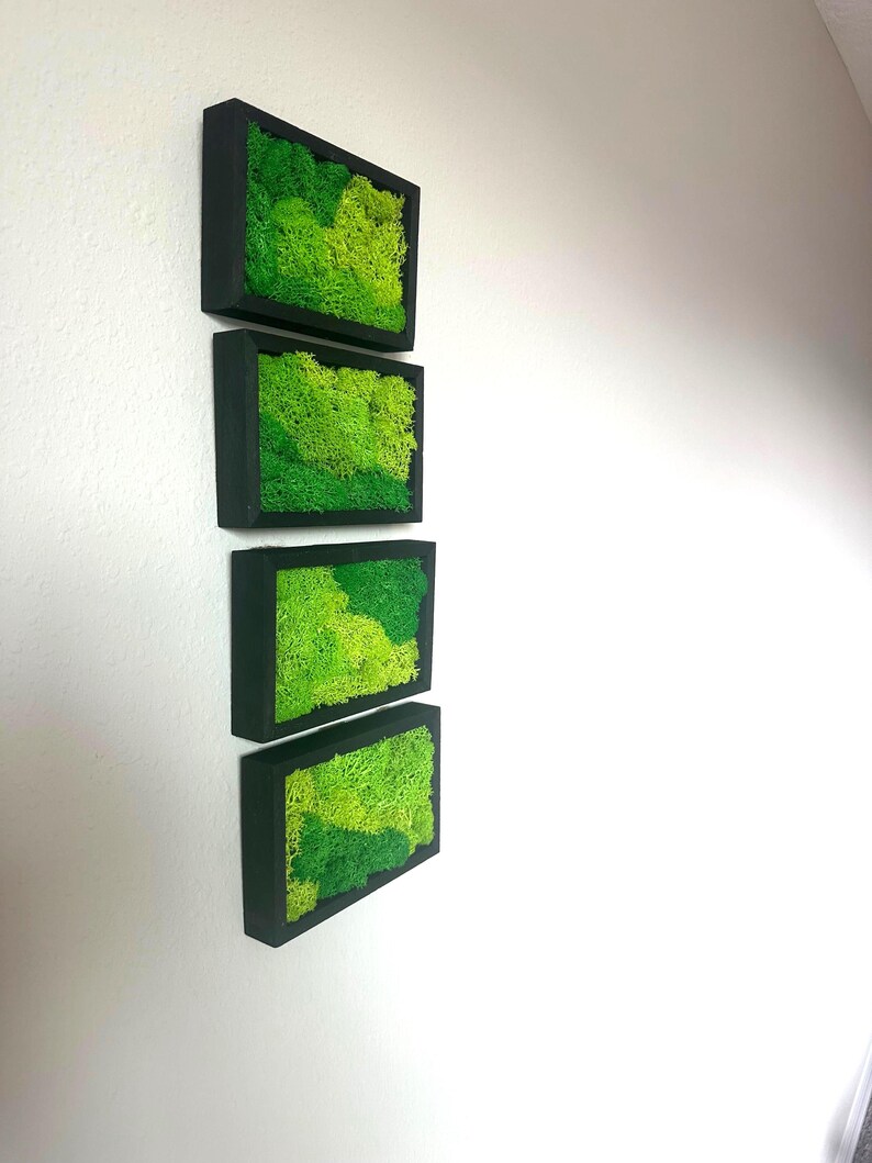 Mini Rectangle Moss Art – 6x4 Frame Preserved Green Moss Wall Decor ...
