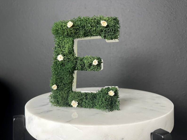 Custom Moss Letter 4.75" – Preserved Green Flower Initial, Eco-friendly ...
