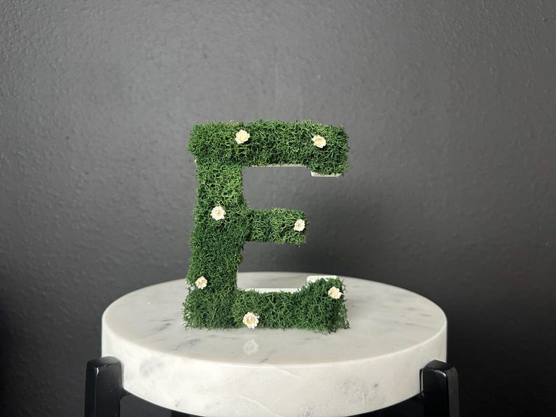 Custom Moss Letter 4.75" – Preserved Green Flower Initial, Eco-friendly ...