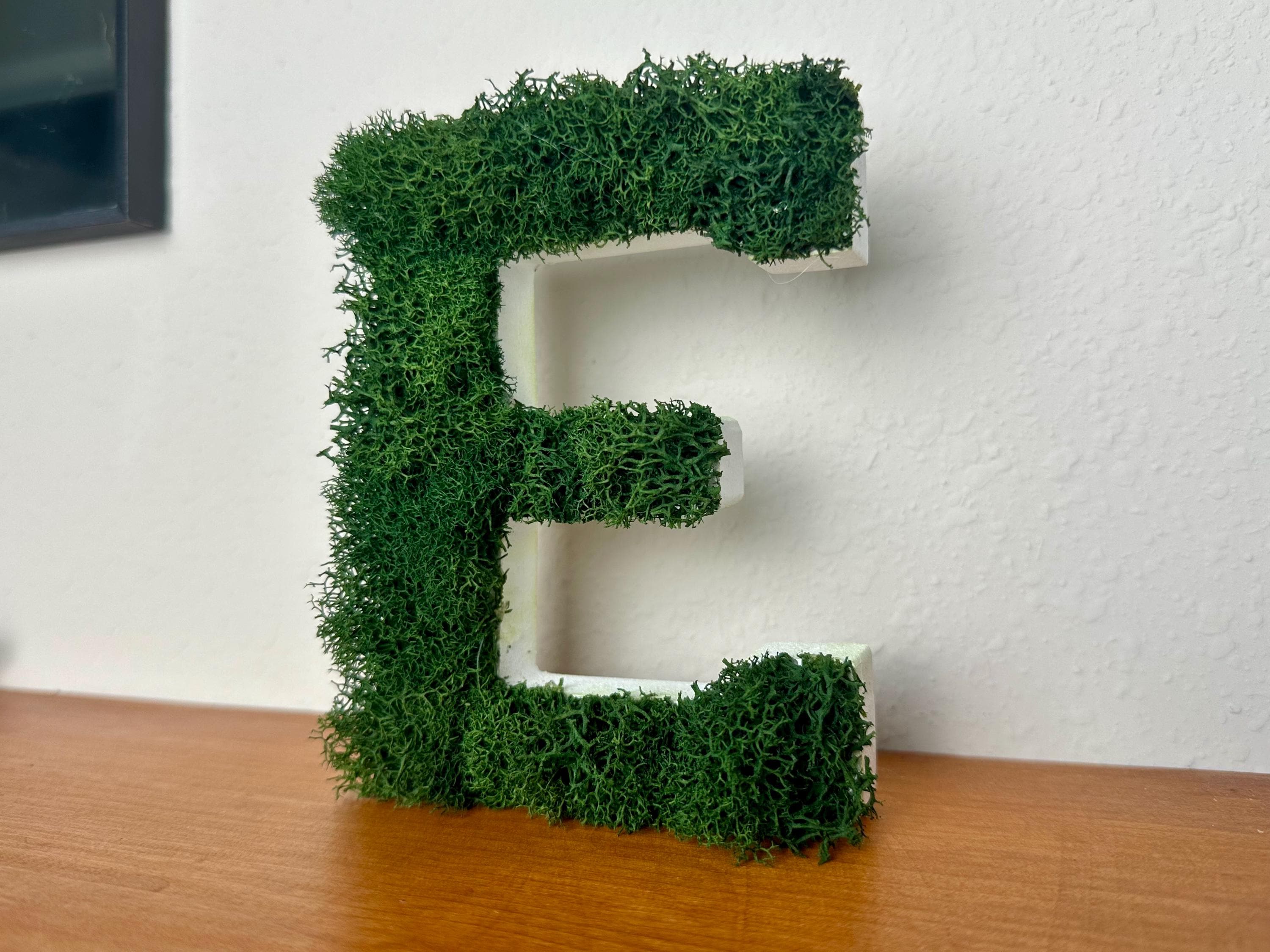 Custom Moss Letter 4.75" – Preserved Green Flower Initial, Eco-friendly ...