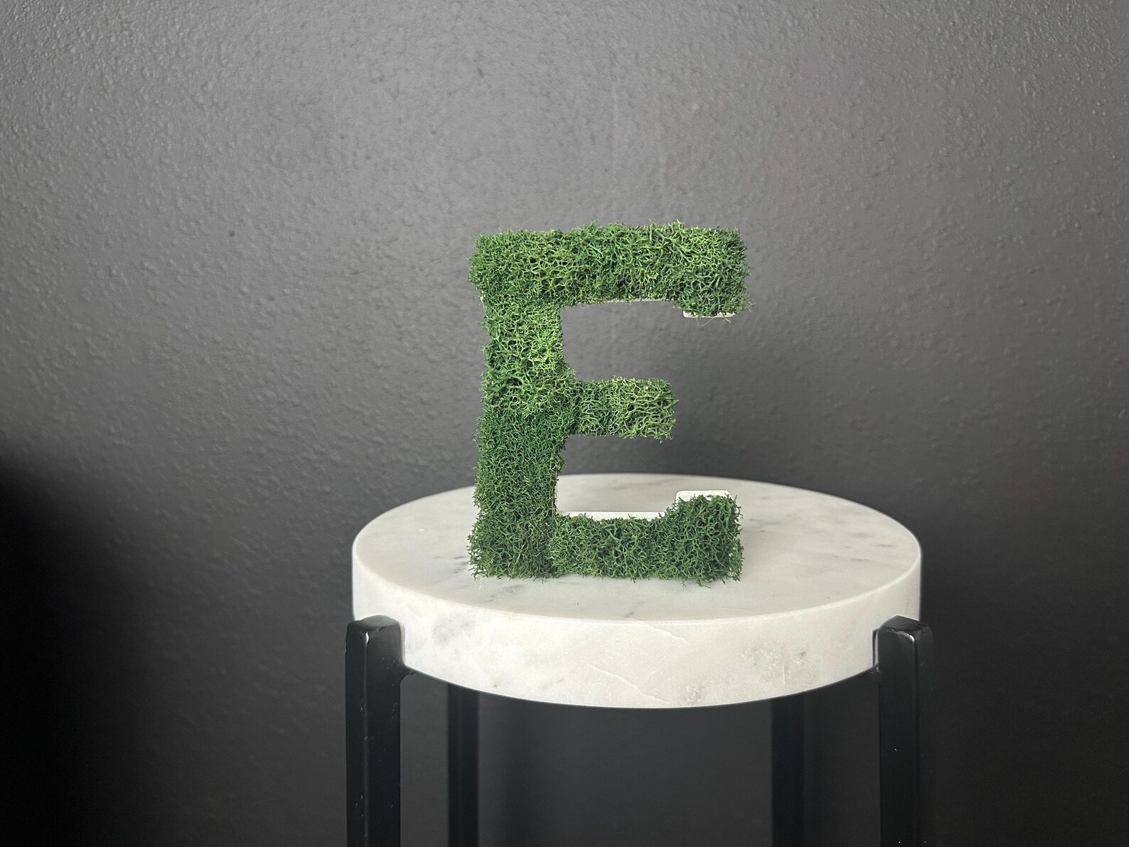 Custom Moss Letter 4.75" – Preserved Green Flower Initial, Eco-friendly ...