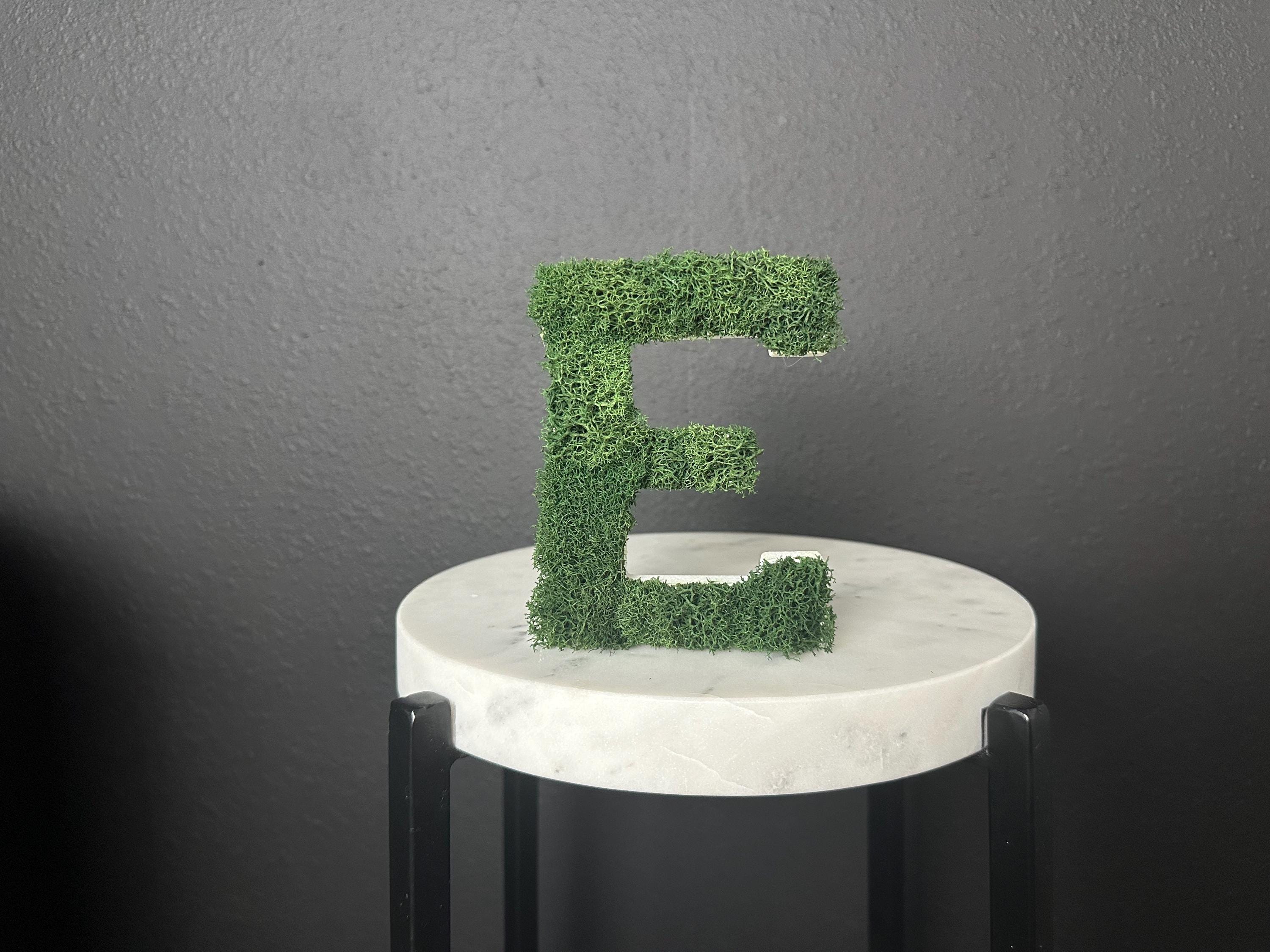 Custom Moss Letter 4.75" – Preserved Green Flower Initial, Eco-friendly ...