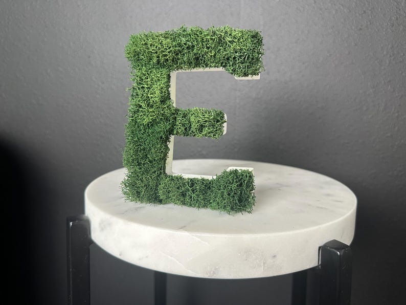 Custom Moss Letter 4.75" – Preserved Green Flower Initial, Eco-friendly ...