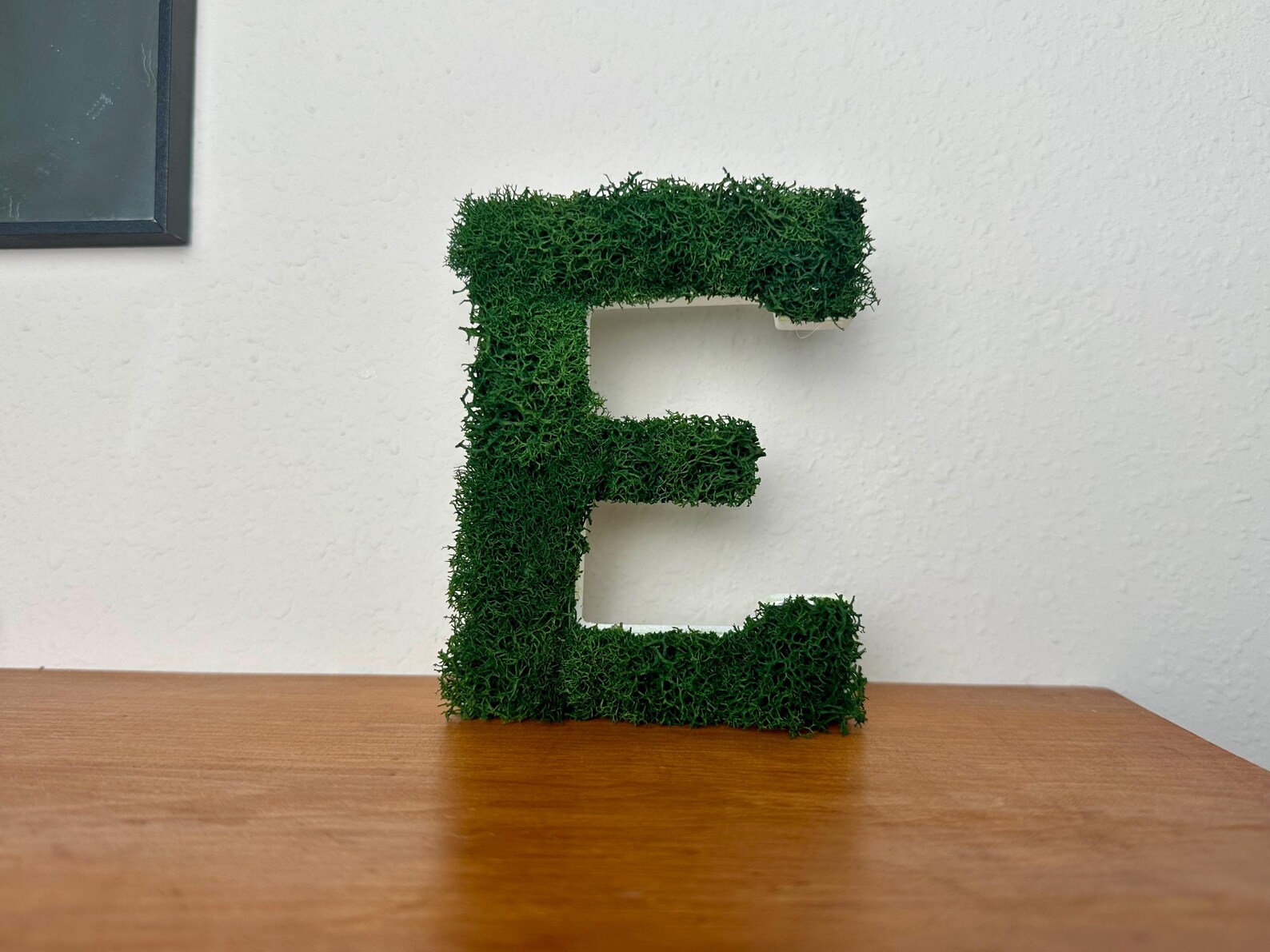 Custom Moss Letter 4.75" – Preserved Green Flower Initial, Eco-friendly ...