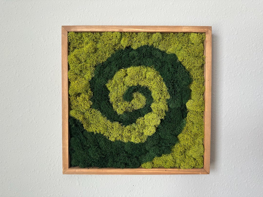Spiral Moss Wall Art – 12x12 Preserved Reindeer Moss in Green – Framed ...