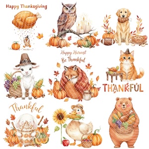 27 Thanksgiving Animals PNG Bundle |cute Fall Woodland Clipart With ...