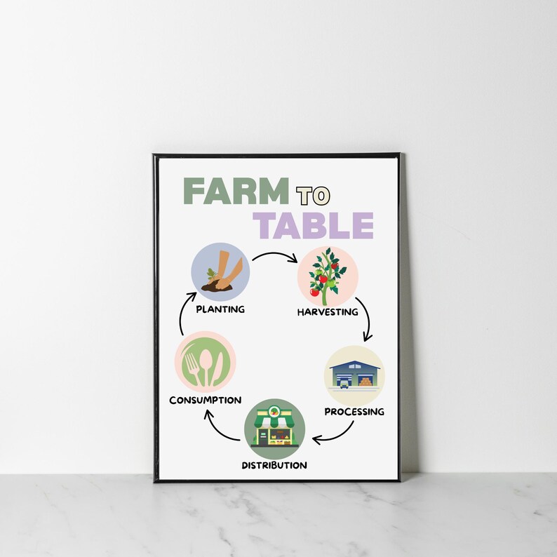 Classroom Posters | Farm to Table Classroom Posters | Classroom Decor ...