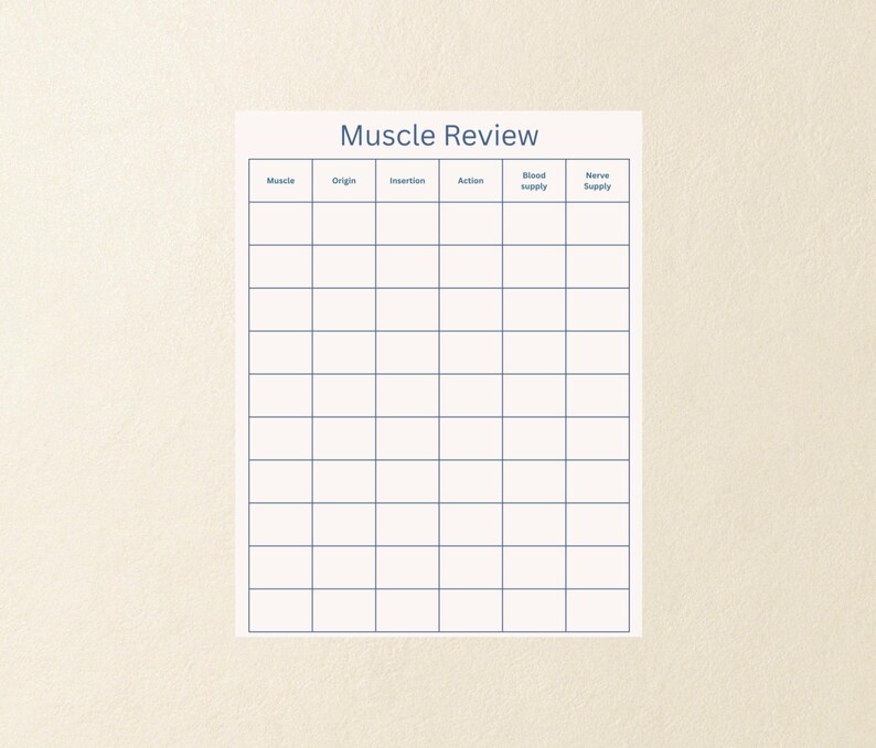 Muscle Study Guide Template (origin, Insertion, Action, Blood Supply ...