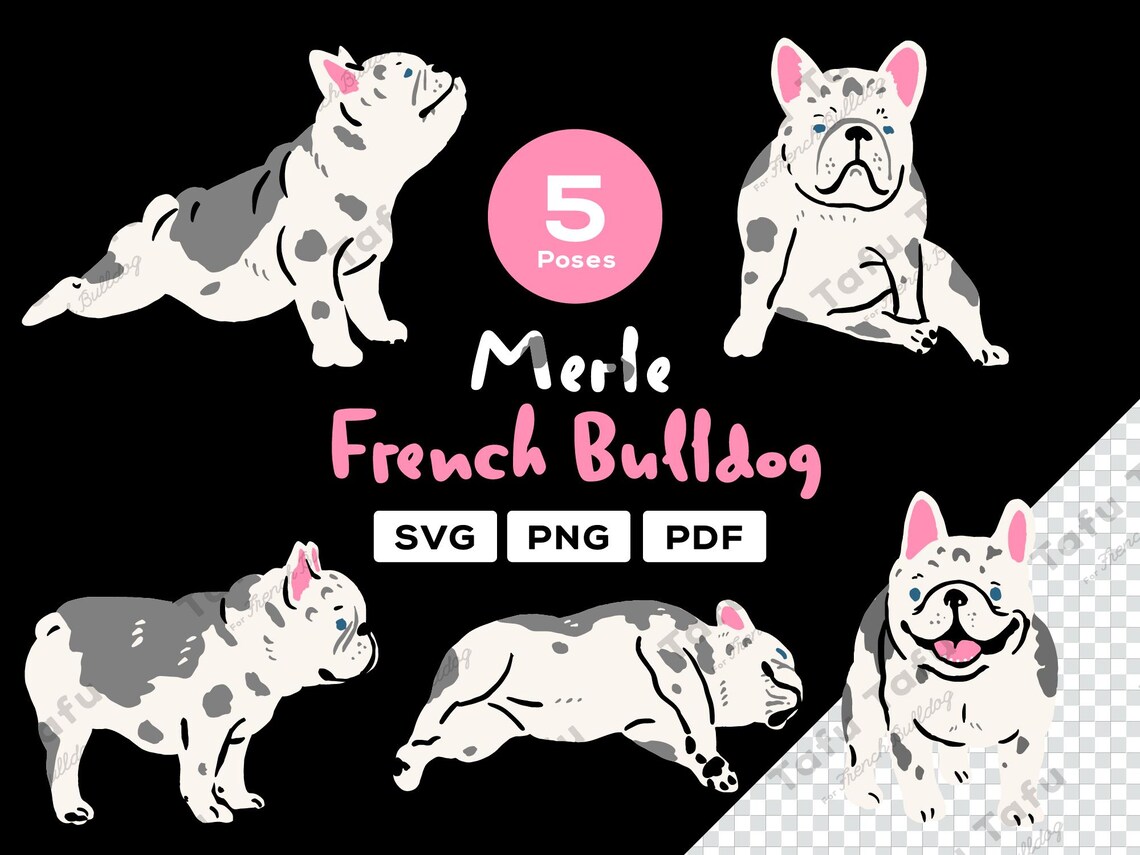 Hand Drawn French Bulldog Clipart – [merle] Frenchie – 5 Cute Poses ...