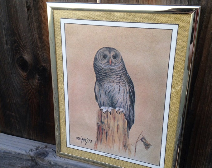 1973 Bob Haynes Owl Art, Framed Barred Owl Lithograph Print Reprinted ...