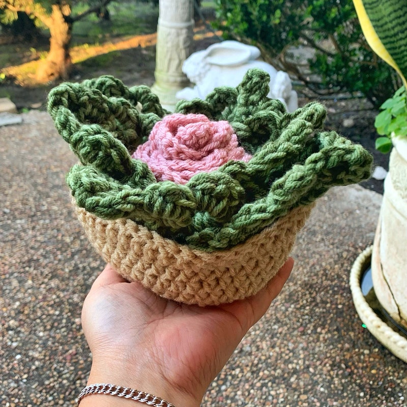 Crochet Monstera - Etsy
