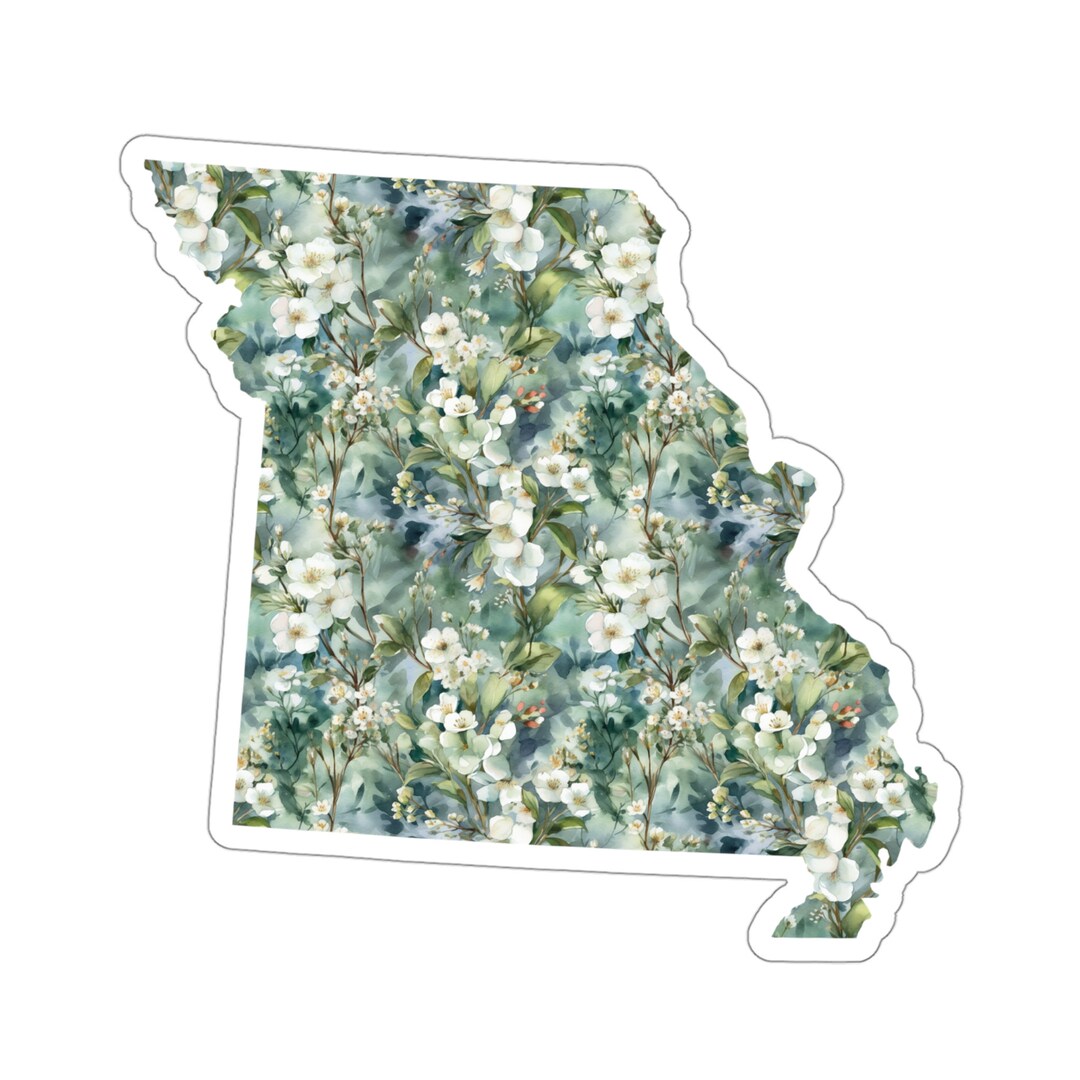 Missouri Featuring State Flower White Hawthorn Blossoms | Floral ...
